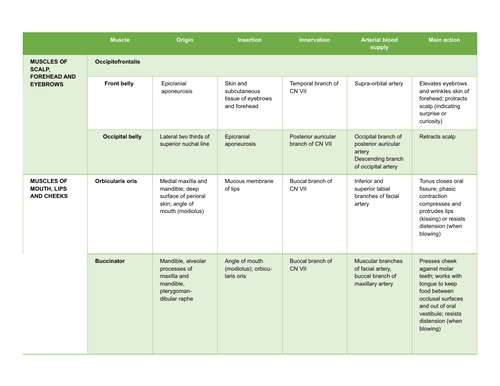 Anatomy- Muscles of scalp, face, and neck tables | Teaching Resources