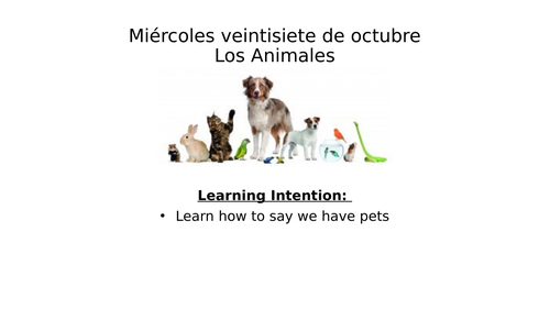 Las Mascotas - Spanish Pets | Teaching Resources