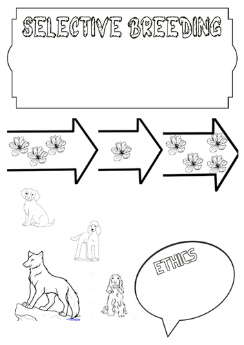 Selective breeding doodle note | Teaching Resources