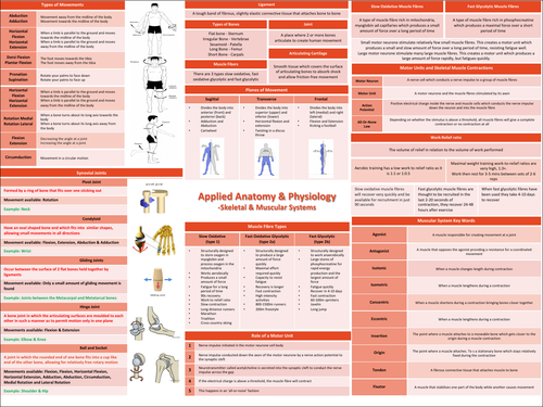 OCR A Level PE Knowledge Organiser Applied Anatomy | Teaching Resources