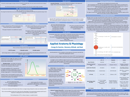 OCR A Level PE Energy for Exercise | Teaching Resources