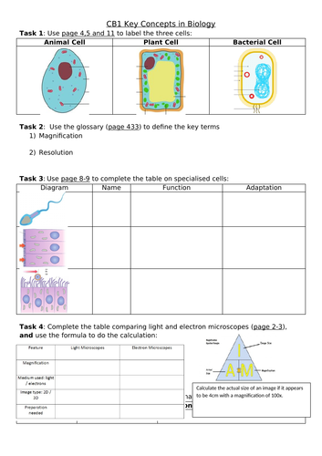 CB1 Key Concepts in Biology Revision Sheet Edexcel Combined Science | Teaching Resources