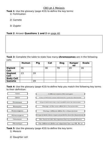 CB3 Genetics Revision Sheet , Edexcel Combined Science: Biology ...