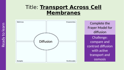Simple and Facilitated Diffusion AQA A Level Biology - Transport Across ... Simple and Facilitated Diffusion AQA A Level Biology - Transport Across ...