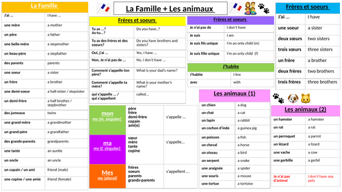 Knowledge organiser French -KS3 'La famille et les animaux' | Teaching ...