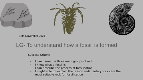 Fossil formation PPt and worksheet | Teaching Resources