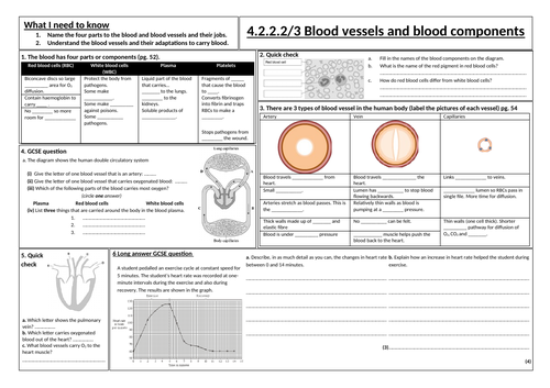 Blood and Blood vessels | Teaching Resources