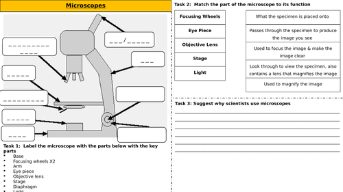 Light Microscopes - Worksheet | Teaching Resources