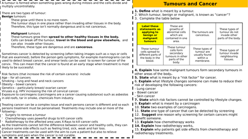 Cancer - Worksheet - Higher & Foundation | Teaching Resources