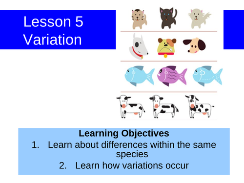 KS3 - Variations within Species | Teaching Resources