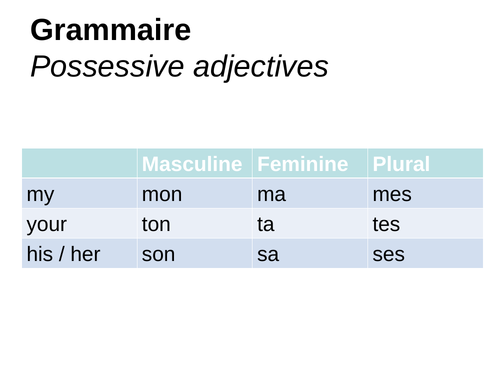Possessive adjectives | Teaching Resources