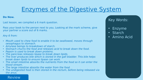 KS3 Science - Digestive Enzymes | Teaching Resources