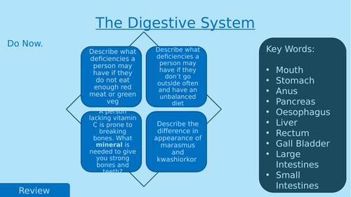 KS3 Science - The Digestive System | Teaching Resources