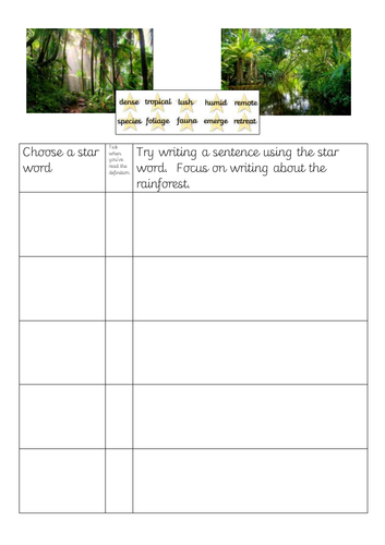 Rainforest setting description - vocabulary | Teaching Resources
