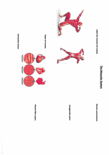 Igcse Pe Revision Resource Ch 1 5 Teaching Resources