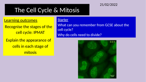 AQA Cell cycle, Protein synthesis AS Biology | Teaching Resources