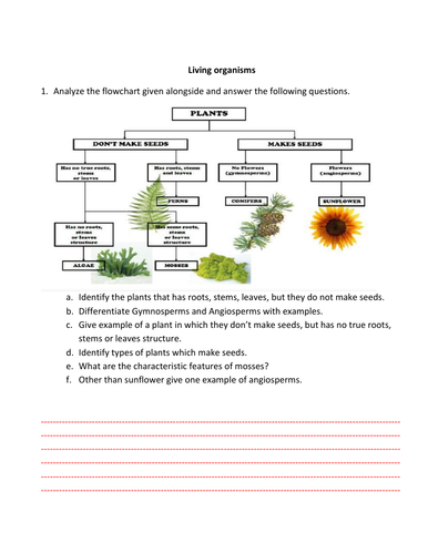 Living things | Teaching Resources