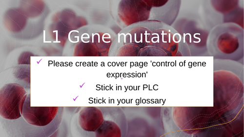 3.8.1 L1 Gene mutations (AQA A-level Biology) | Teaching Resources