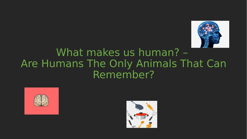 Are Humans The Only Animals That Can Remember?What makes us human ...