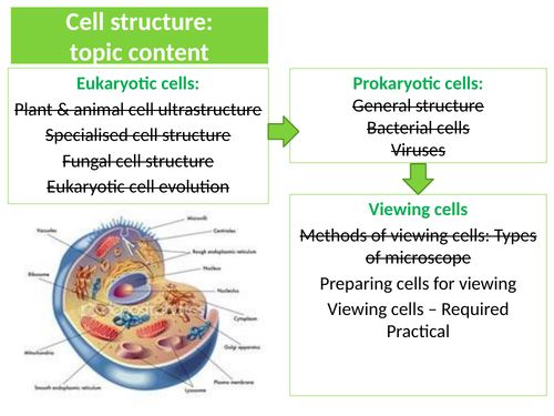 AQA. GCE. Biology. Specimen preparation | Teaching Resources