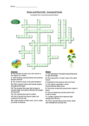 Primary plants resources