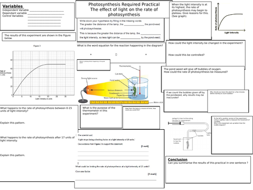 Photosynthesis Gcse Required Practical Biology Teaching Resources