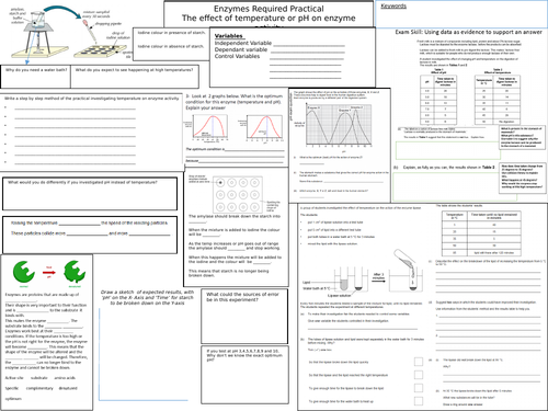 Enzymes GCSE Required Practical Biology | Teaching Resources