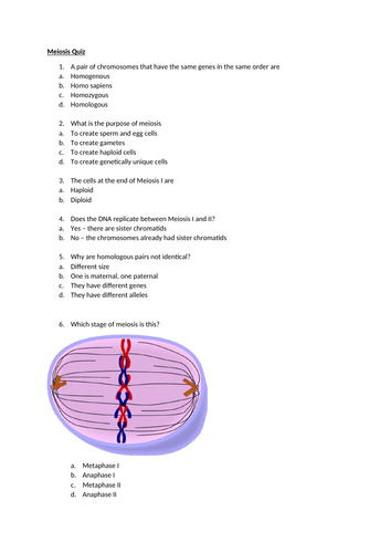 A-level Meiosis Quiz | Teaching Resources