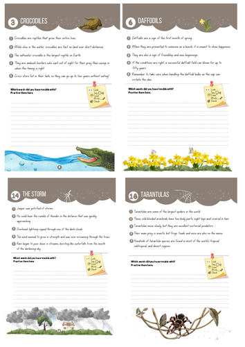 Spelling and Dictation | Teaching Resources