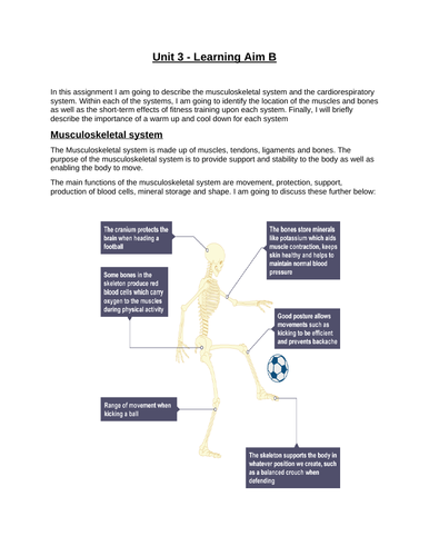 Unit 3 - Learning Aim B (Musculoskeletal and Cardiorespiratory System ...