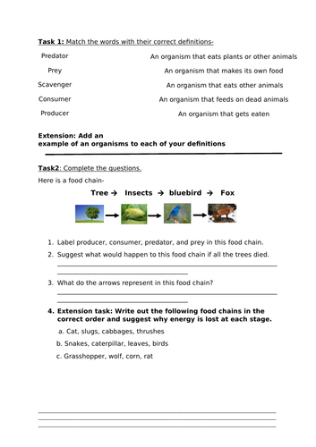 Ecosystem and food chain worksheet | Teaching Resources