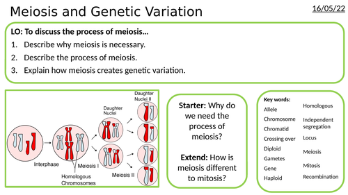 AS/A2-Level AQA Biology Meiosis and Genetic Variation Full Lesson ...