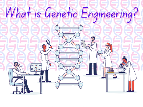 Genetic Engineering | Teaching Resources