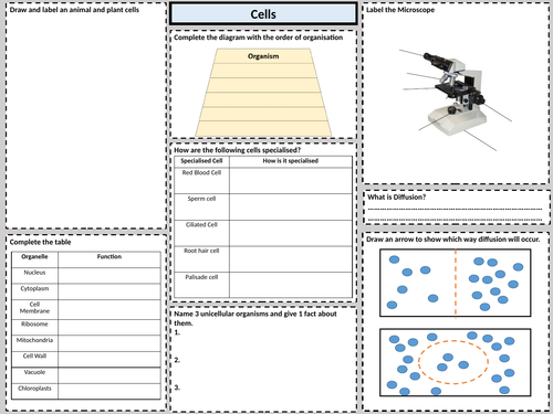 KS3 Cells Revision Poster | Teaching Resources