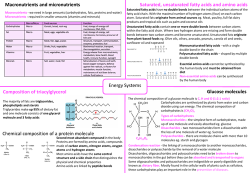 IB SEHS - Topic 3 Energy Systems | Teaching Resources