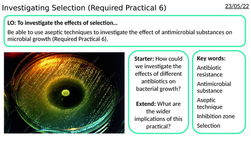 AS/A2-Level AQA Biology RP6 Investigating Selection Aseptic Technique ...