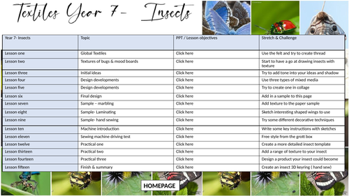 Full term of work textiles KS3: Insects | Teaching Resources