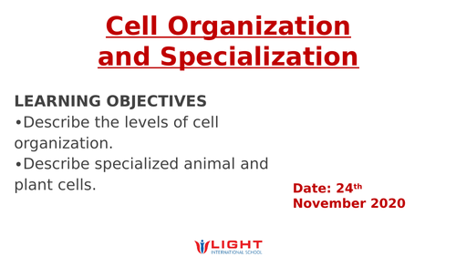 Specialized cells | Teaching Resources