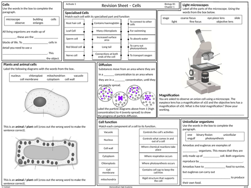 Activate 1 Revision Sheets Bundle | Teaching Resources