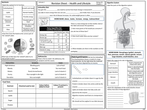 Activate 2 Revision Sheets Bundle | Teaching Resources