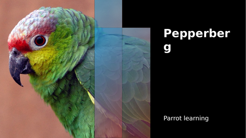 AICE psychology Learning approach | Teaching Resources