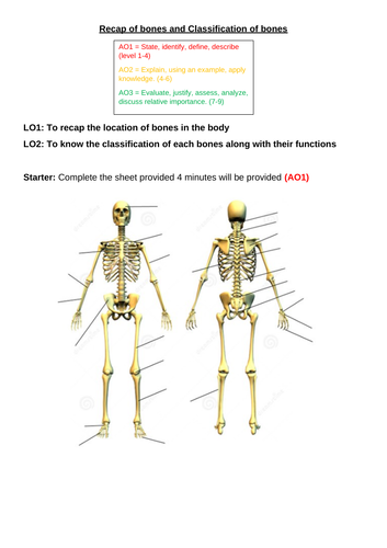 Classification of bones with Bones recap GCSE PE (Edexcel) | Teaching ... Classification of bones with Bones recap GCSE PE (Edexcel) | Teaching ...