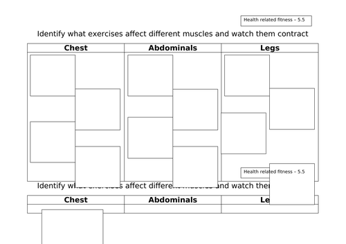 Health Related Fitness - Major muscles in the body | Teaching Resources