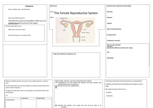 Child Development Revision Sheets | Teaching Resources
