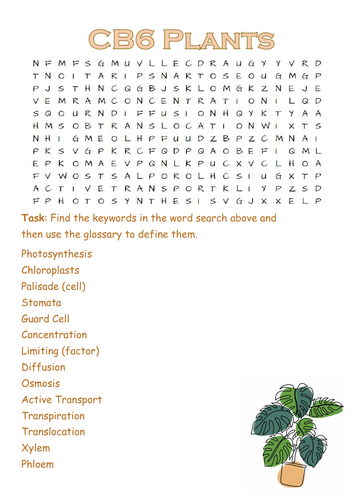 CB6 Plants and Photosynthesis Wordsearch - Edexcel Keywords - SAMPLE ...