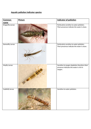 Secondary ecology resources