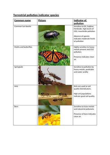 Secondary ecology resources