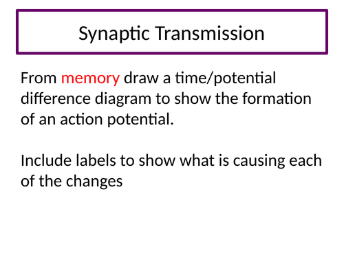 AQA A level Biology Synapses | Teaching Resources