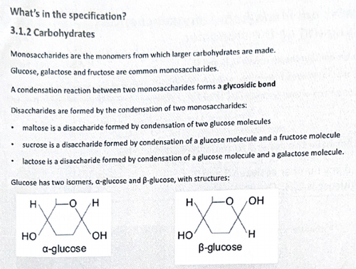 AQA A-Level Biology Carbohydrates Information Sheets | Teaching Resources