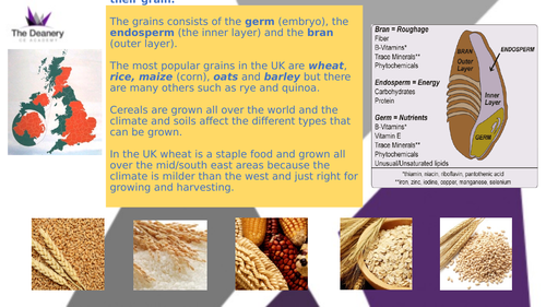 Year 9 to 10 food and nutrition presentations | Teaching Resources